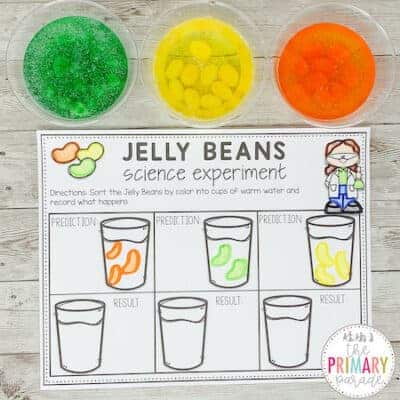 Science Experiments for Kids at Home - The Primary Parade
