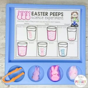Science Experiments for Kids at Home - The Primary Parade