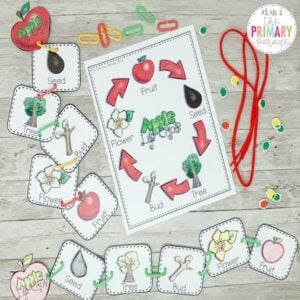 Preschool Apple Activities - The Primary Parade