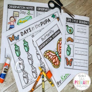 9 Amazing April Lesson Plans for Preschool - The Primary Parade