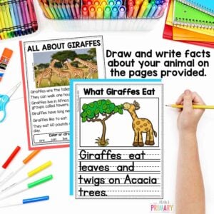 Informative Topic Writing: Kindergarten Animal Reports - The Primary Parade