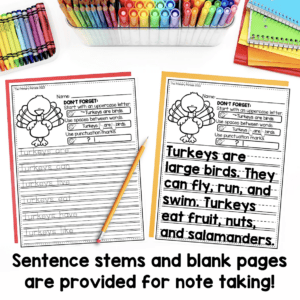 Turkey animal report - The Primary Parade