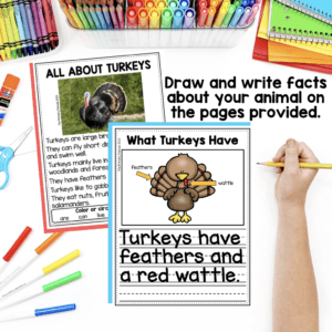 Turkey animal report - The Primary Parade
