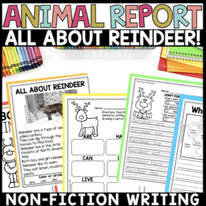 Reindeer animal report - The Primary Parade