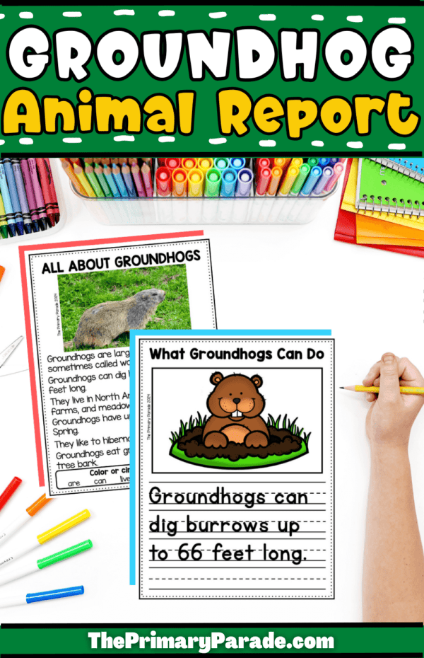 All About Groundhogs: A Fun Animal Report Activity for Kids! - The ...