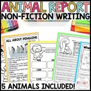 Arctic animal reports - The Primary Parade