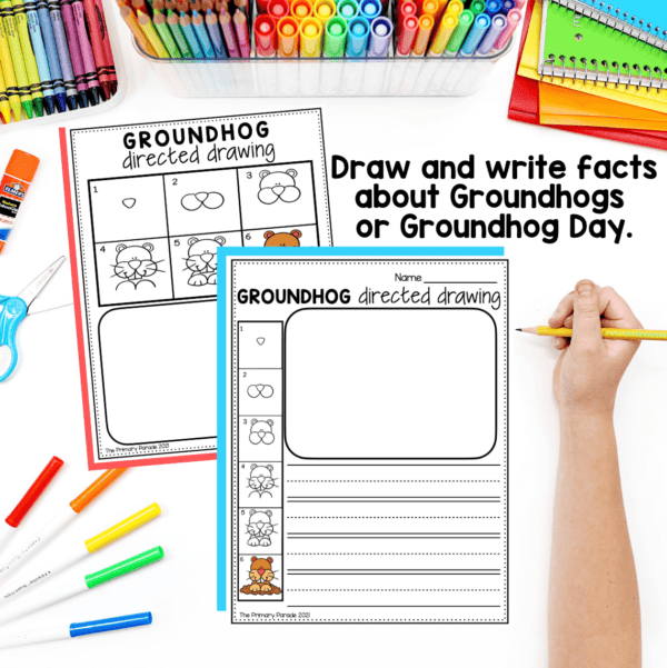 Groundhog Day Directed Drawing Activity for Kindergarten - The Primary ...